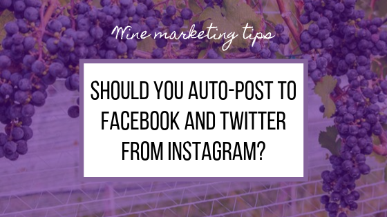 Should You Auto Post To Facebook And Twitter From Instagram Meaghan